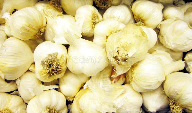 Box of fresh garlic stock image. Image of market, vitamin - 24594635