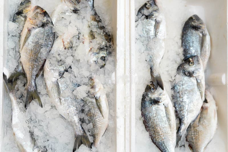 Box with Frozen Fish on Ice in Food Store Stock Photo - Image of ...