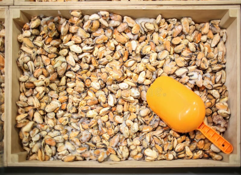 Box with Frozen Mussels on Counter in Store Stock Photo - Image of ...
