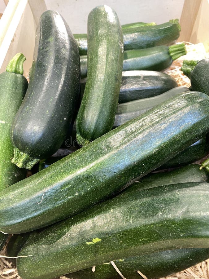 Box full of courgettes stock photo. Image of courgettes - 274850206