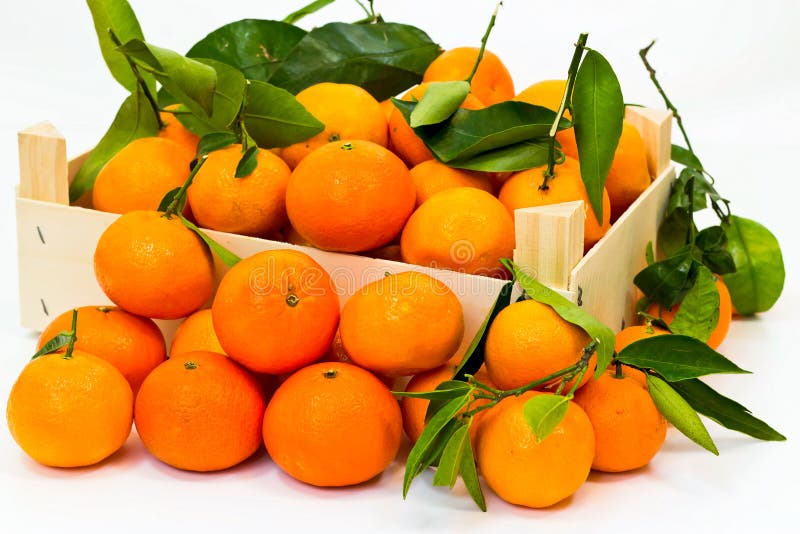 Box Full of Fresh Mandarin with Green Leaves Stock Photo - Image of ...