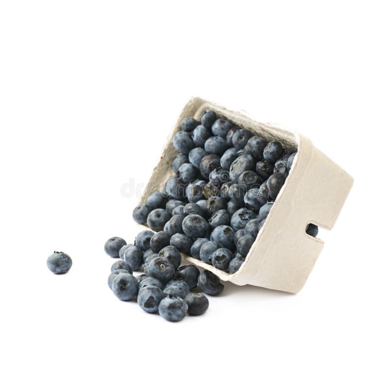 Box of Blueberries Isolated Stock Image - Image of bilberry, nutrition ...