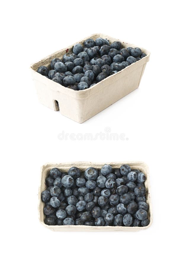Box of Blueberries Isolated Stock Image - Image of natural, eating ...