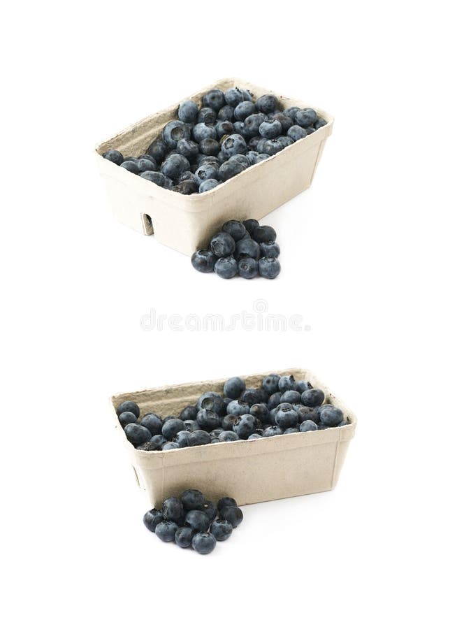 Box of Blueberries Isolated Stock Photo - Image of healthy, dessert ...
