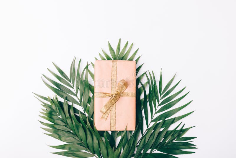 Box with Gift and Ribbon and Palm Leaves Stock Image - Image of meeting ...