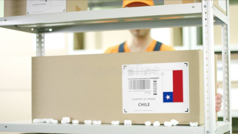 Worker Puts a Carton with Goods from Chile on the Shelf Stock Footage ...