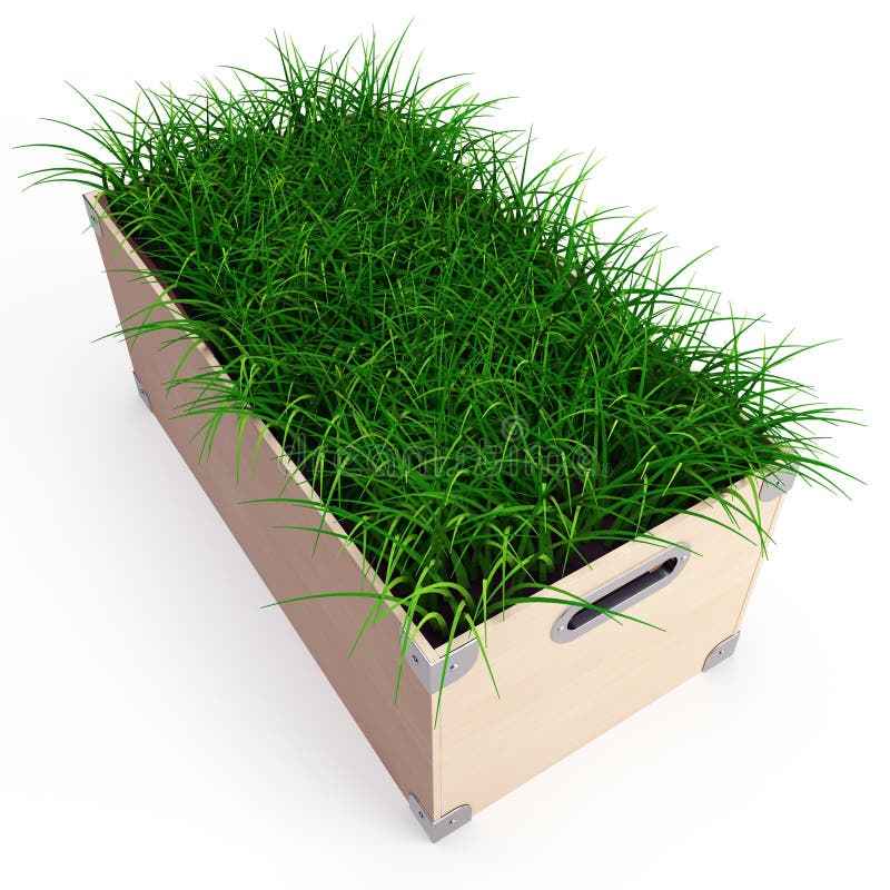 Box with grass stock illustration. Illustration of fresh - 23552373