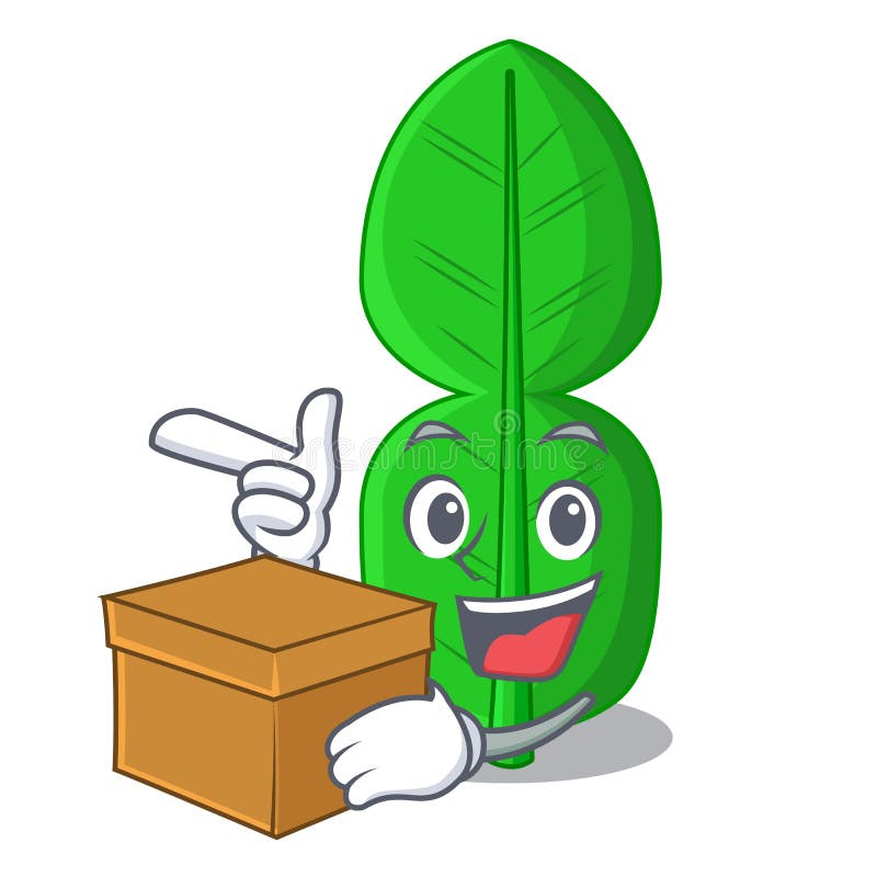 With Box Leaf Bergamot in a Shape Cartoon Stock Vector - Illustration ...