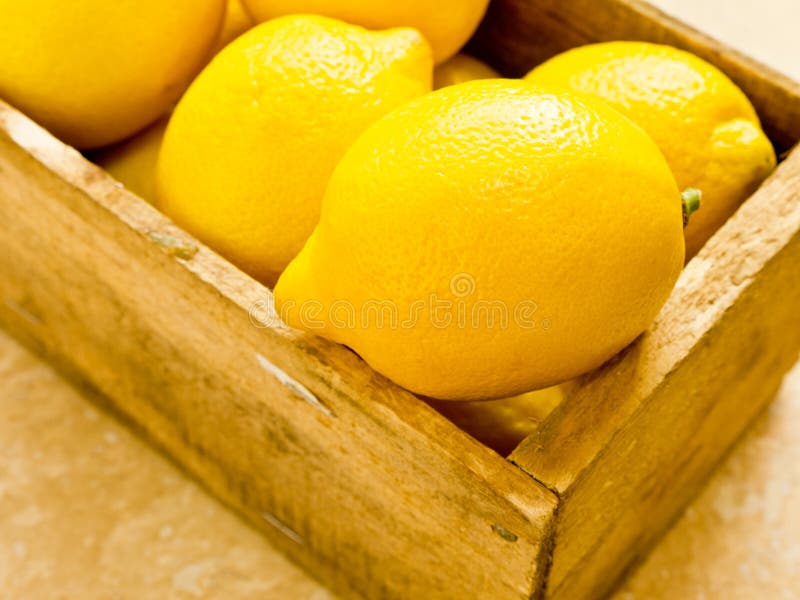 Lemon tree on a white stock image. Image of floral, nature - 36147905