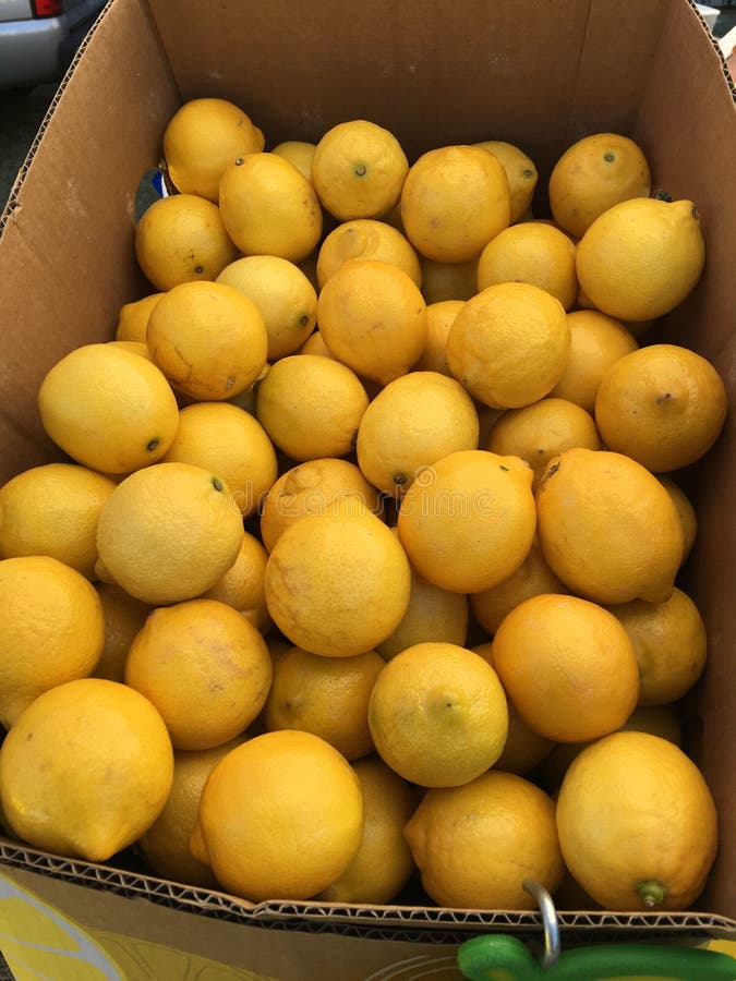 Box of lemons stock photo. Image of lemon, florida, fruit - 68938858