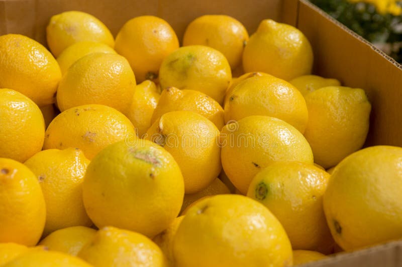 Box of Lemons stock image. Image of objects, organic - 310176635