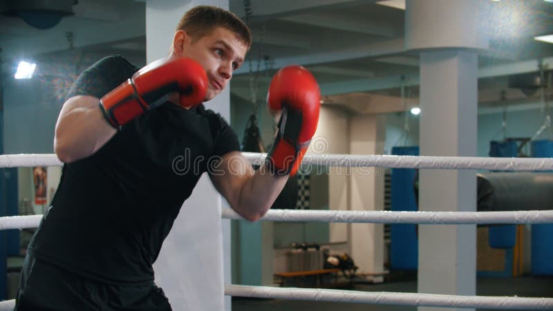 BOX - Man is Boxing with Shadow on the Ring Stock Video - Video of ...