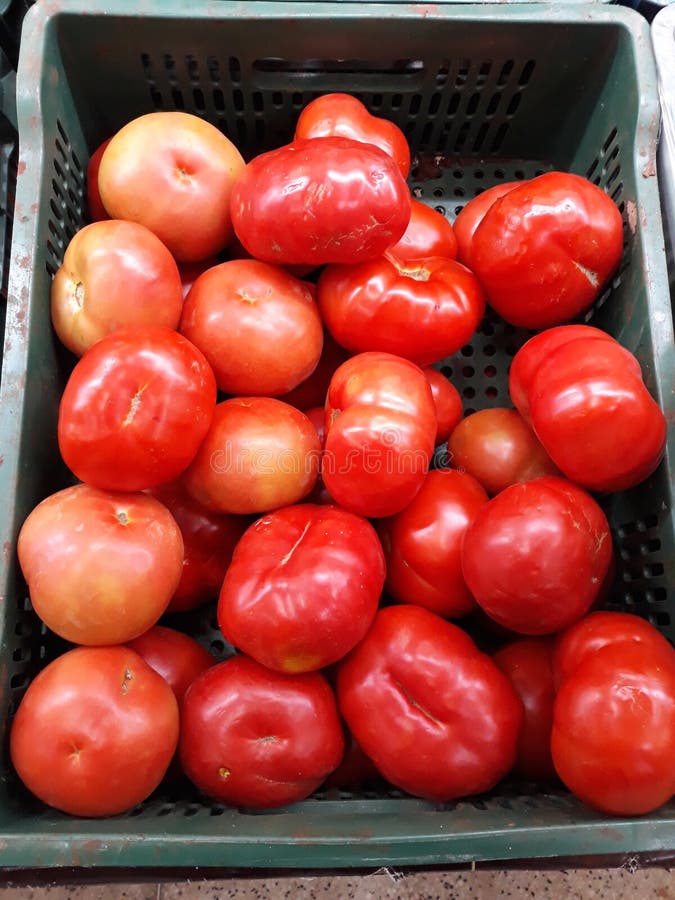 Very Red and Appetizing Tomatoes Stock Photo - Image of tomatoes ...