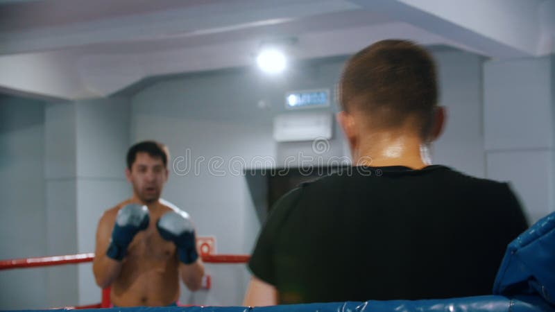 BOX - Men are Starting Their Sparring on the Ring Stock Video - Video ...