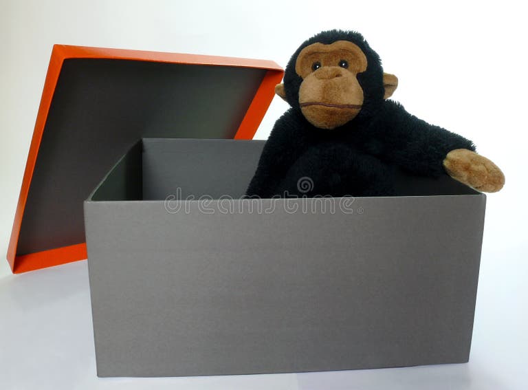 Cute Monkey Cardboard Box Stock Photos - Free & Royalty-Free Stock ...