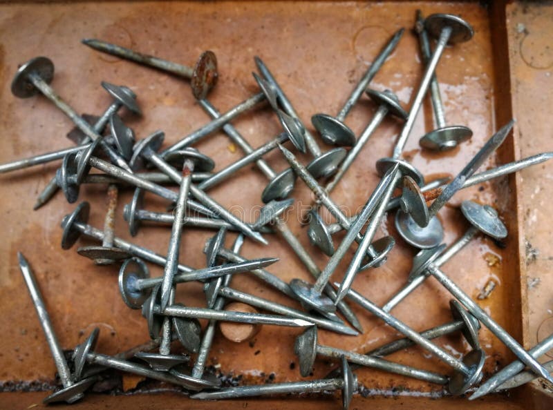 Box of nails stock image. Image of head, metal, spline - 115101659