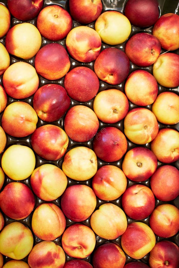 Box of Nectarines from Above Stock Photo - Image of harvest, nectarines ...