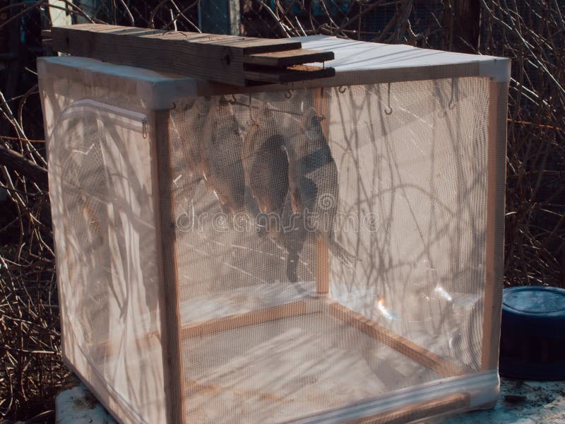 Box with a Net for Drying Fish Stock Image - Image of rope, ship: 202684249