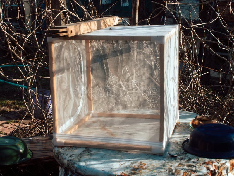 Box with a Net for Drying Fish Stock Photo - Image of natural, food ...