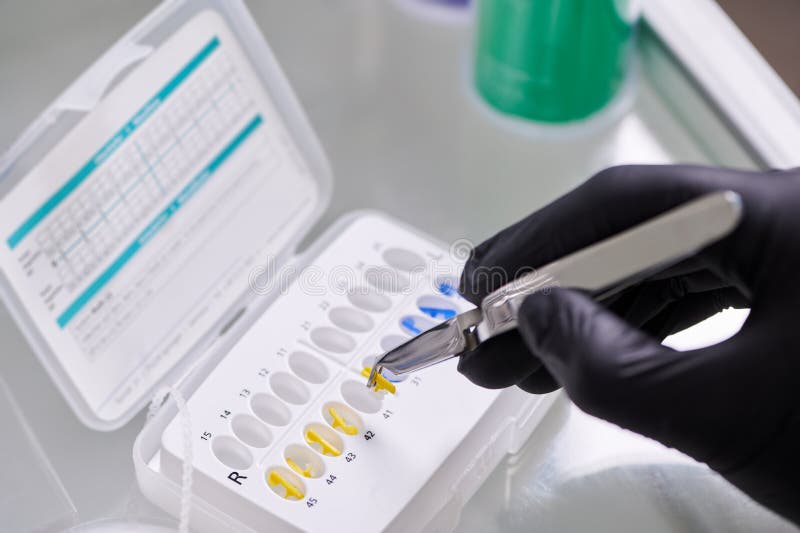 Box of New Ceramic Brackets and Doctor S Hand Holding Forceps and One ...