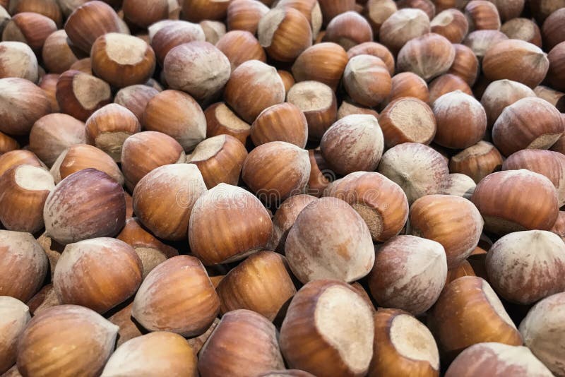 Nuts box stock image. Image of market, food, hazelnuts - 145887253