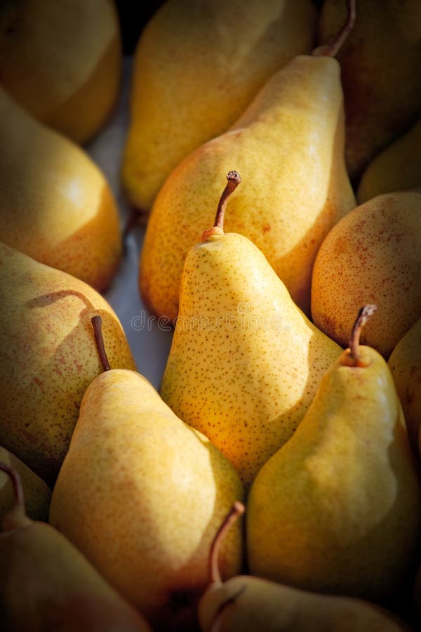 Crowded Box of Pears in the Garden, Harvesting Autumn Crops Stock Image ...