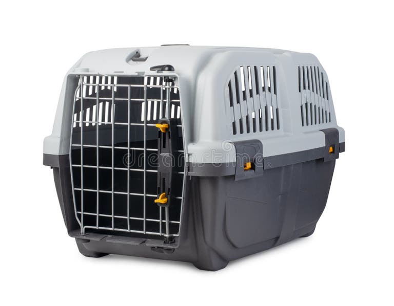 Box for pets isolated stock image. Image of canine, equipment - 245194451