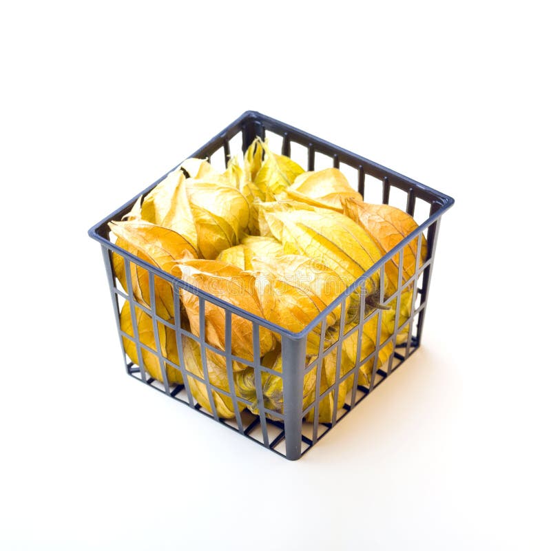 Physalis stock image. Image of closeup, orange, encased - 2728227