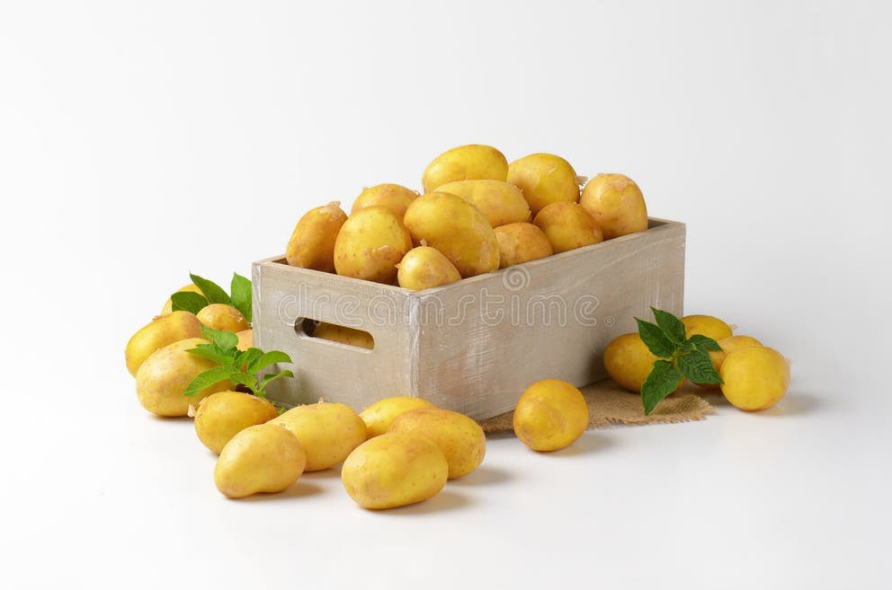 Box of potatoes stock photo. Image of healthy, studio - 57300600