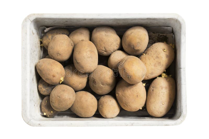 Box of potatoes isolated stock photo. Image of potatoes - 244530748