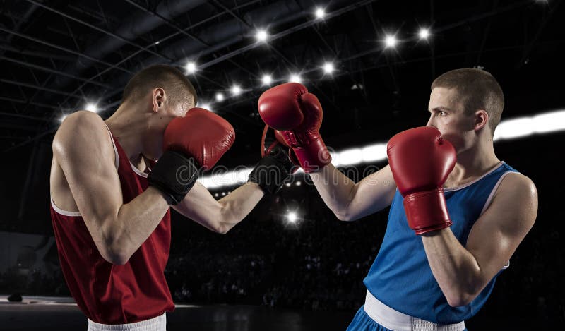 Two Professional Boxer Boxing Stock Photo - Image of fist, boxer: 113791398