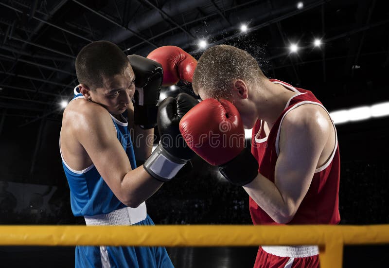 Two Professional Boxer Boxing Stock Image - Image of match, fist: 113791687