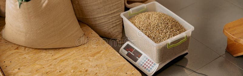 Box of Raw Coffee Beans Stands on a Scale Ready for Roasting in Coffee ...
