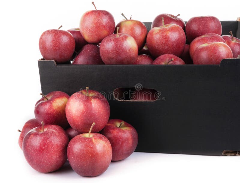 Box of Ready To Sale Red Prince Apples on White Backgr Stock Photo ...