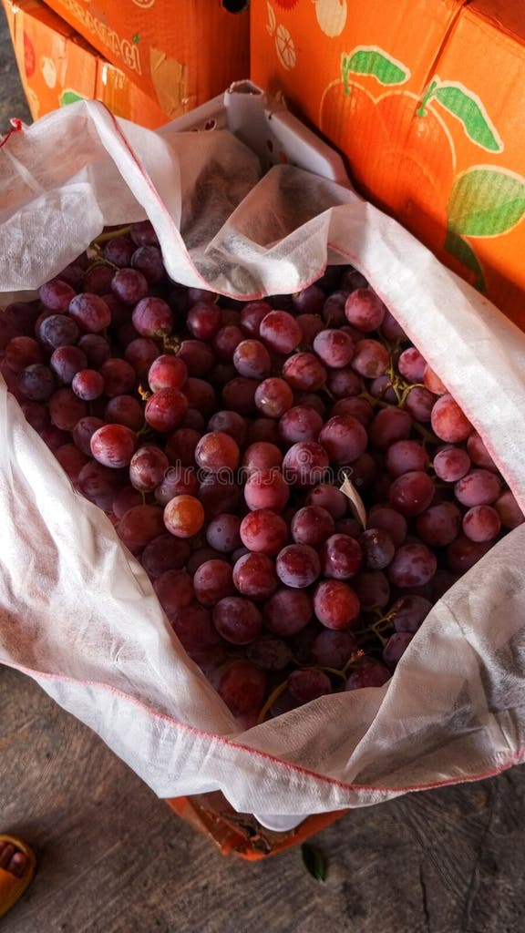 The box of red grapes stock photo. Image of orange, grapes - 302844272