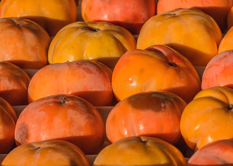 A Box of Ripe Persimmons Laid in Even Rows Stock Photo - Image of laid ...