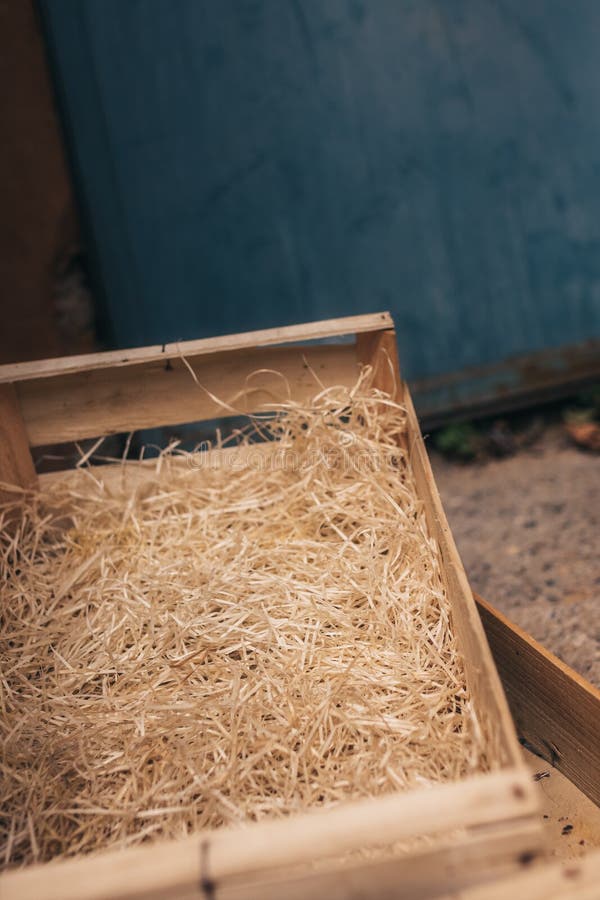 Box with Straw in the Backyard of the Restaurant Stock Image - Image of ...