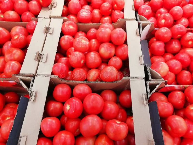Box of Tomatoes in Shop. Market Stock Photo - Image of background ...