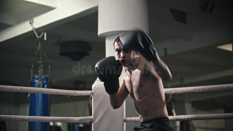 A Boxing Ring with a Crowd of People Watching Stock Footage - Video of ...