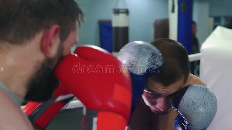 Box Training - Aggressive Sportsman Wearing Boxing Gloves Punching the ...