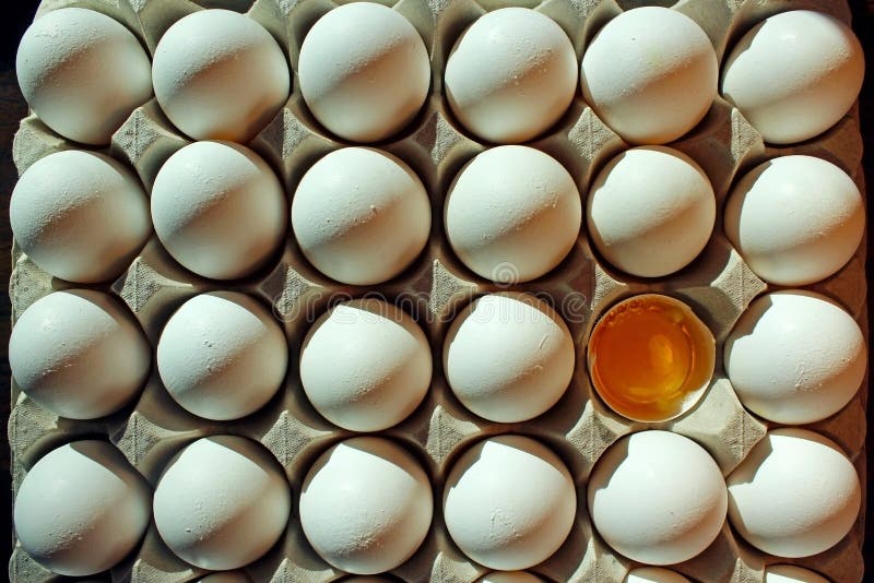 A Box of White Shell Eggs with an Open One Stock Photo - Image of ...