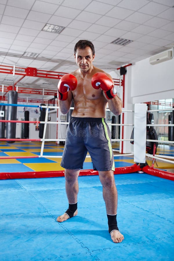 Combattant De Kickbox Travaillant Aux Punchbags Image stock - Image du ...