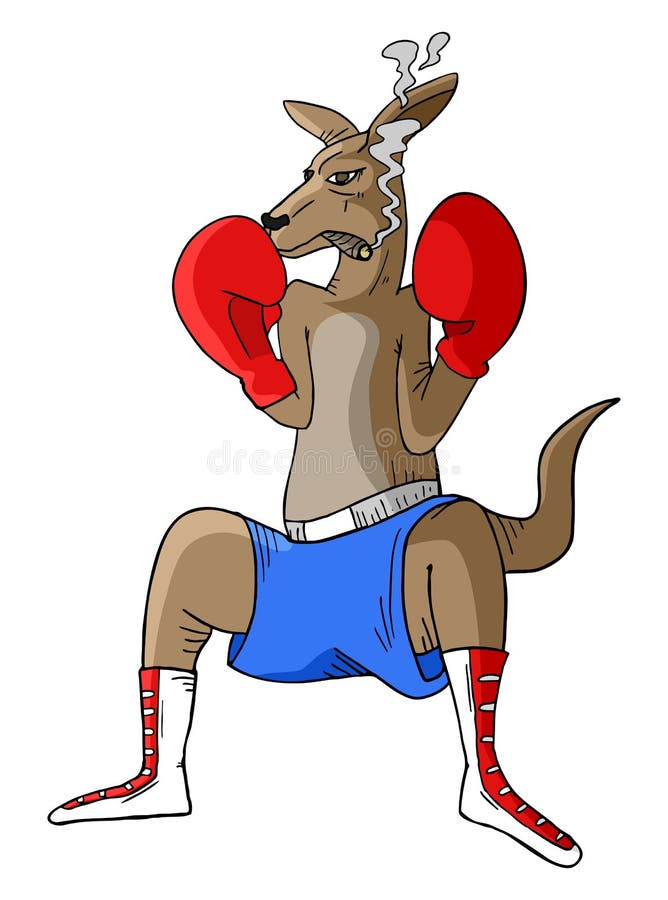 Boxe de kangourou illustration de vecteur. Illustration du sparring ...