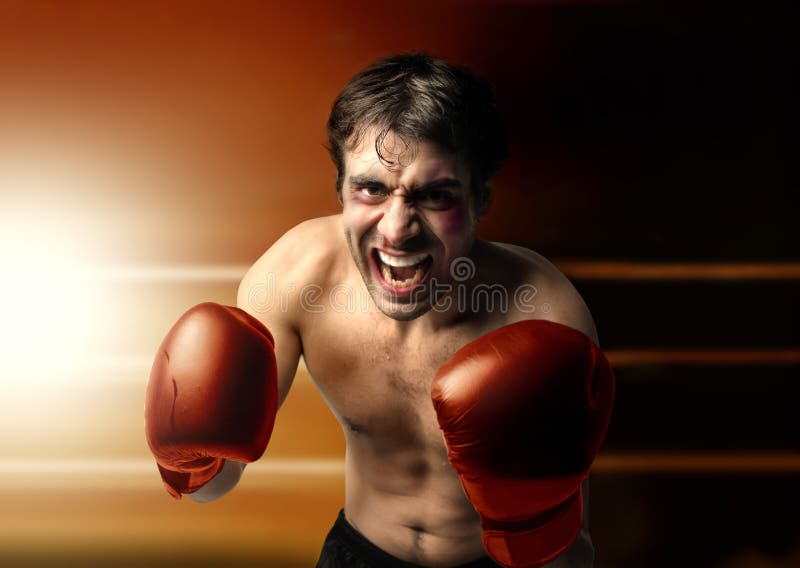 Boxeador imagen de archivo. Imagen de grito, pugilista - 24768429