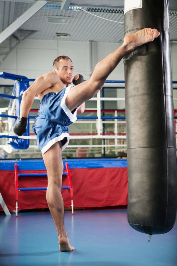 Boxeador. imagen de archivo. Imagen de hombre, gimnasio - 33128815