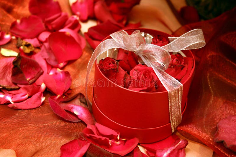 Boxed red roses 2 stock photo. Image of luxury, fresh, scarlet - 795666