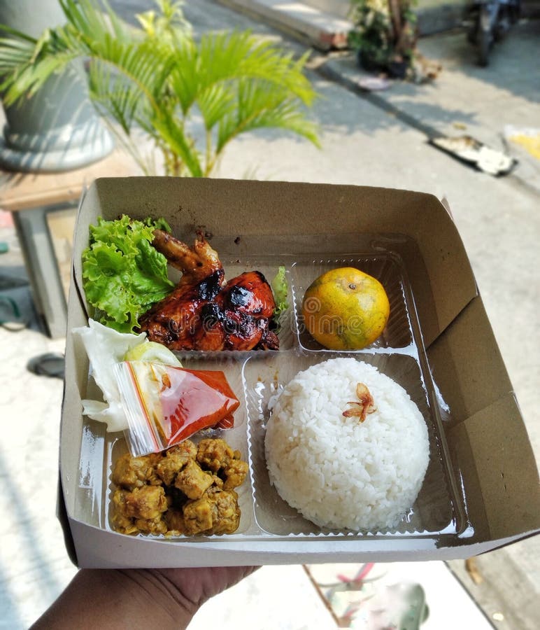 Boxed Rice with Grilled Chicken and Fresh Orange Fruit Stock Image ...