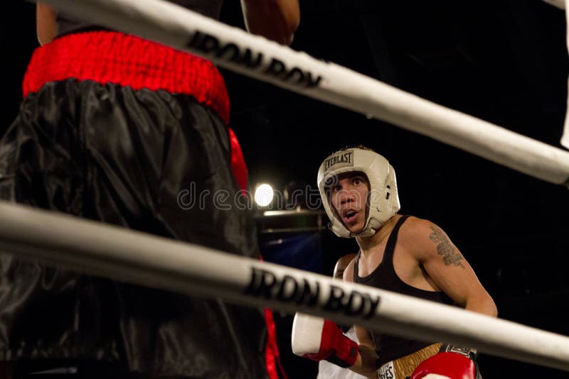 Boxeo Aficionado Y Profesional Foto de archivo editorial - Imagen de ...