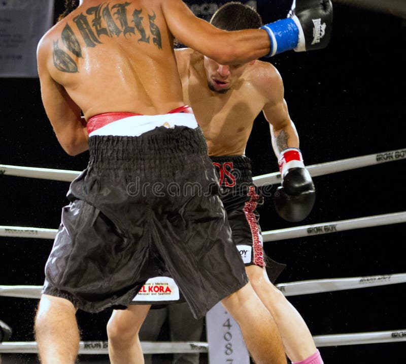 Boxeo Aficionado Y Profesional Fotografía editorial - Imagen de ...