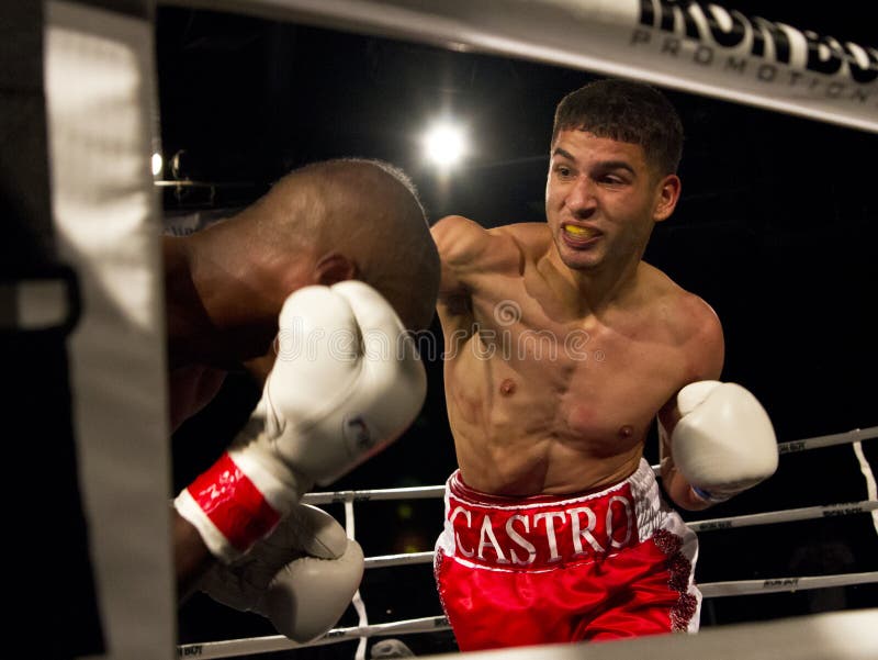 Boxeo Aficionado Y Profesional Imagen de archivo editorial - Imagen de ...